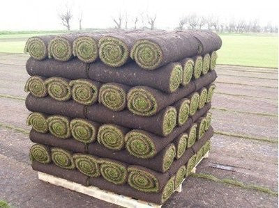 Deluxe Fine Turf Roll (1m2). Fine Lawn, Tees, Bowls – TurfStore