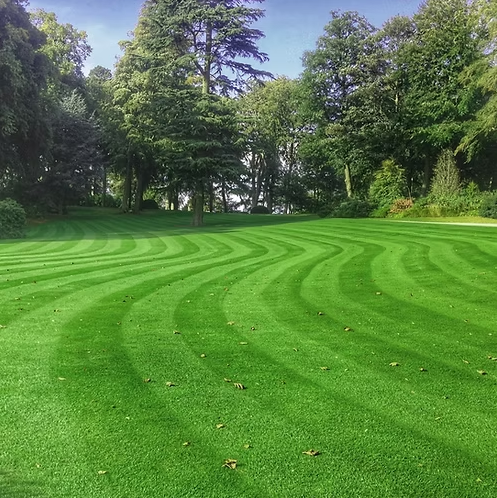 TurfStore | Premium turf & more to bring your landscape to life