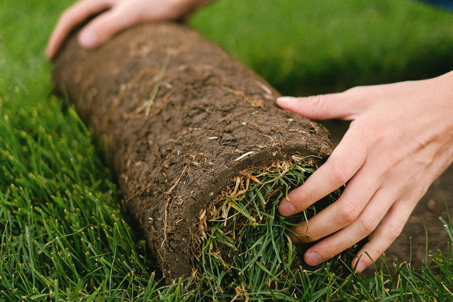 TurfStore | Premium turf & more to bring your landscape to life