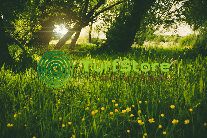 TurfStore